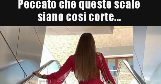 Peccato che queste scale siano così corte... | BESTI.it - immagini ...