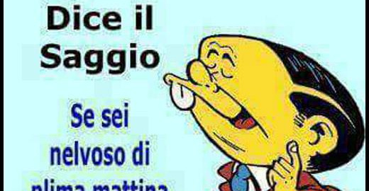 Dice il Saggio | BESTI.it - immagini divertenti, foto, barzellette, video