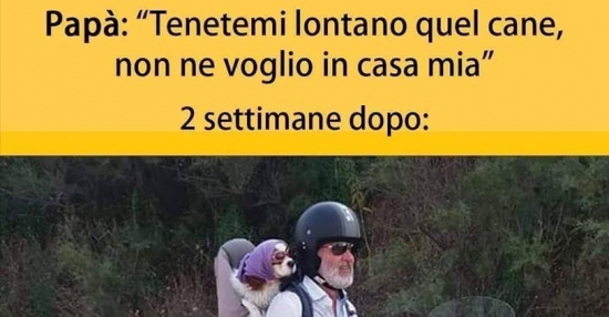Tenetemi lontano quel cane.. | BESTI.it - immagini divertenti, foto ...