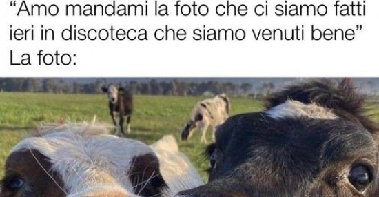 Amo mandami la foto | BESTI.it - immagini divertenti, foto, barzellette ...