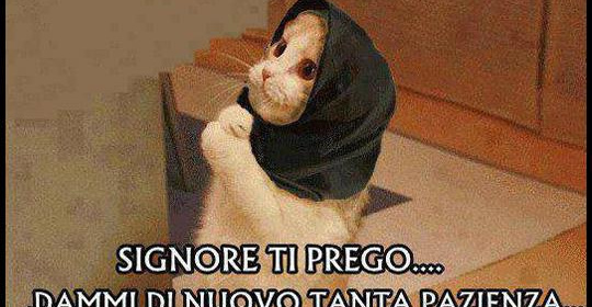 Signore ti prego | BESTI.it - immagini divertenti, foto, barzellette, video
