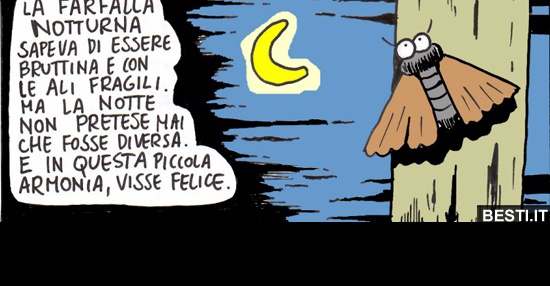 La farfalla notturna | BESTI.it - immagini divertenti, foto, barzellette, video