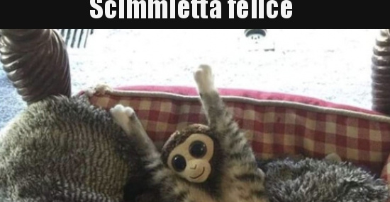 Scimmietta felice.. | BESTI.it - immagini divertenti, foto, barzellette ...