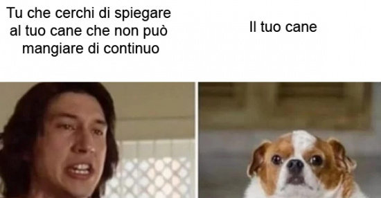 Tu che cerchi di spiegare | BESTI.it - immagini divertenti, foto ...