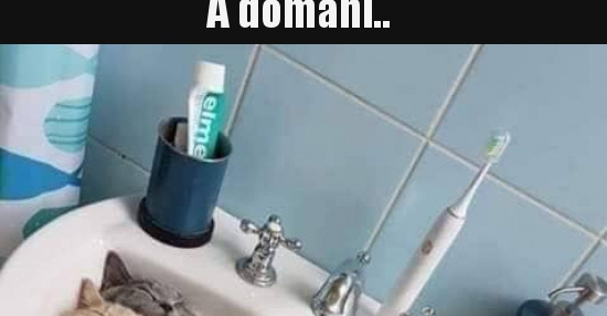 A domani.. | BESTI.it - immagini divertenti, foto, barzellette, video