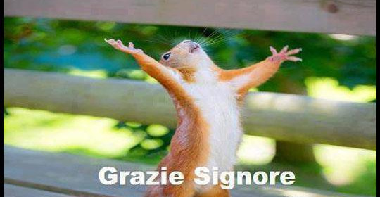 Grazie Signore | BESTI.it - immagini divertenti, foto, barzellette, video