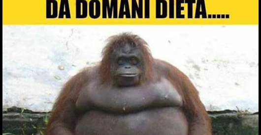 Da domani dieta | BESTI.it - immagini divertenti, foto, barzellette, video