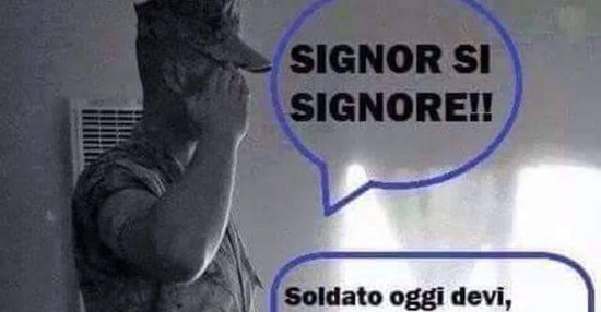 Signor si signore | BESTI.it - immagini divertenti, foto, barzellette ...