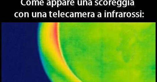 Come appare una scoreggia | BESTI.it - immagini divertenti, foto ...