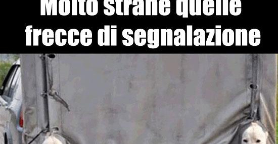 Molto strane quelle frecce di segnalazione | BESTI.it - immagini ...