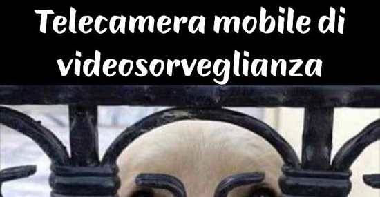 Telecamera mobile di videosorveglianza | BESTI.it - immagini divertenti ...
