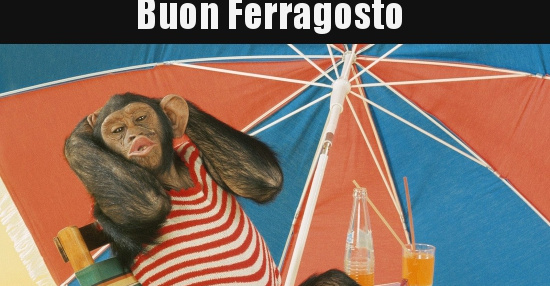 Buon Ferragosto.. | BESTI.it - immagini divertenti, foto, barzellette ...