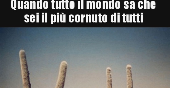 Quando Tutto Il Mondo Sa Che Sei Il Più Cornuto Di Besti It