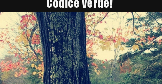 Codice verde!.. | BESTI.it - immagini divertenti, foto, barzellette, video
