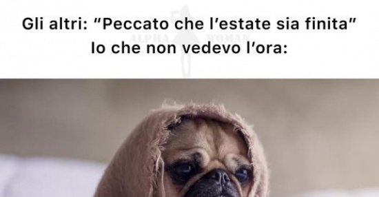 Gli altri: "Peccato che | BESTI.it - immagini divertenti, foto ...