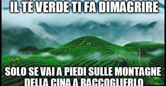 Il tè verde | BESTI.it - immagini divertenti, foto, barzellette, video