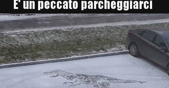 E' un peccato parcheggiarci.. | BESTI.it - immagini divertenti, foto ...