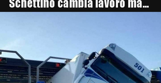Schettino cambia lavoro ma... | BESTI.it - immagini divertenti, foto ...