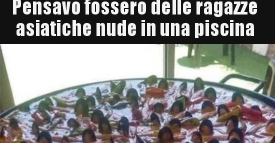 Pensavo Fossero Delle Ragazze Asiatiche Nude In Una Bestiit Immagini Divertenti Foto
