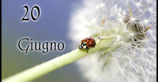 Buon 20 Giugno | BESTI.it - immagini divertenti, foto, barzellette, video
