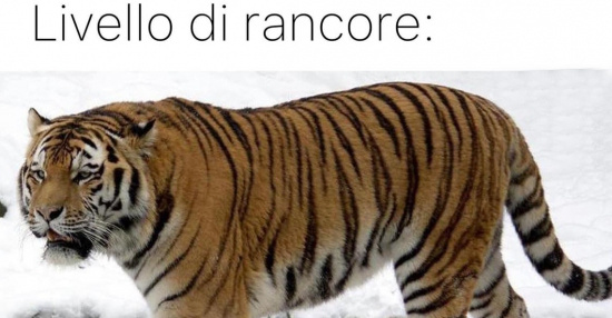 Livello di rancore | BESTI.it - immagini divertenti, foto, barzellette ...