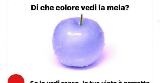 Di che colore vedi la mela? | BESTI.it - immagini divertenti, foto ...