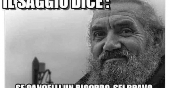 Il saggio dice: | BESTI.it - immagini divertenti, foto, barzellette, video