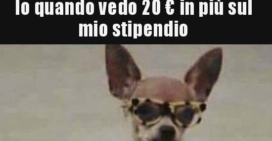 Io quando vedo 20 € in più sul mio stipendio.. | BESTI.it - immagini ...
