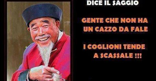 Dice il saggio | BESTI.it - immagini divertenti, foto, barzellette, video