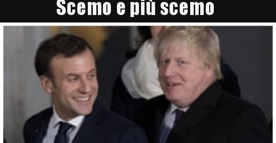 Scemo e più scemo.. | BESTI.it - immagini divertenti, foto, barzellette ...