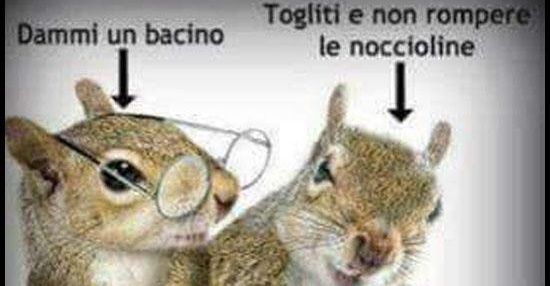 Dammi un bacino | BESTI.it - immagini divertenti, foto, barzellette, video