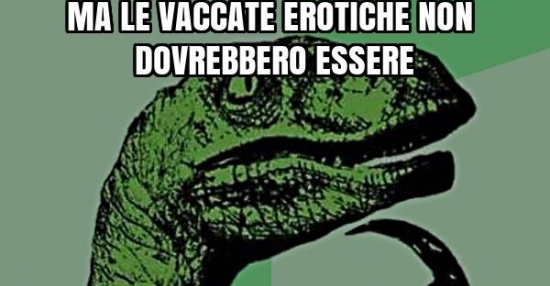 MA LE VACCATE.. | BESTI.it - immagini divertenti, foto, barzellette, video