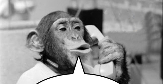 Pronto, parlo con il 2020?.. | BESTI.it - immagini divertenti, foto ...