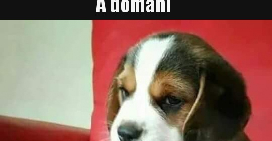 A domani.. | BESTI.it - immagini divertenti, foto, barzellette, video