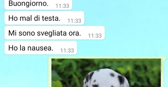 Ho mal di testa. | BESTI.it - immagini divertenti, foto, barzellette, video