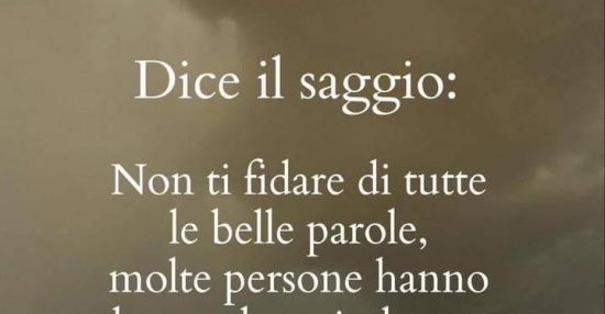 Dice il saggio.. | BESTI.it - immagini divertenti, foto, barzellette, video