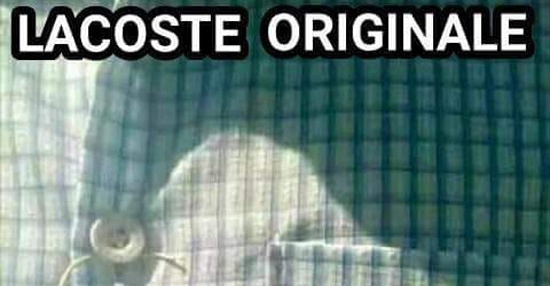 Lacoste originale | BESTI.it - immagini divertenti, foto, barzellette ...