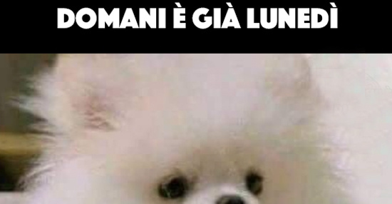 Domani è già lunedì | BESTI.it - immagini divertenti, foto, barzellette ...