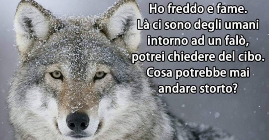 Ho freddo e fame.. | BESTI.it - immagini divertenti, foto, barzellette ...