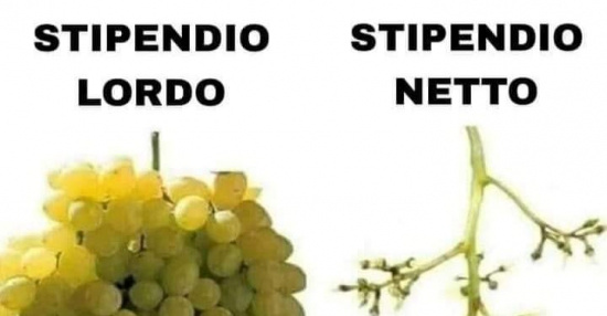 Stipendio lordo - Stipendio netto.. | BESTI.it - immagini divertenti ...