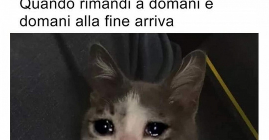 Quando rimandi a domani.. | BESTI.it - immagini divertenti, foto ...