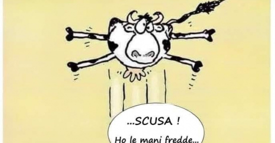 Scusa | BESTI.it - immagini divertenti, foto, barzellette, video