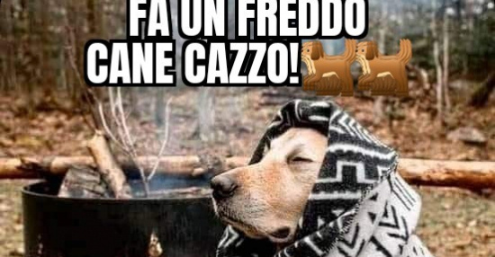 Fa un freddo | BESTI.it - immagini divertenti, foto, barzellette, video